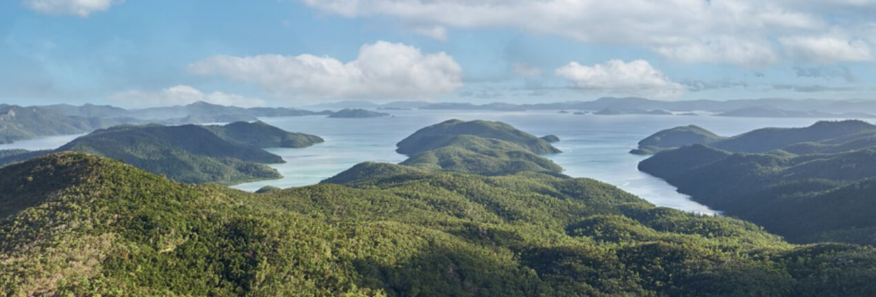 Native title compensation – P&E Law